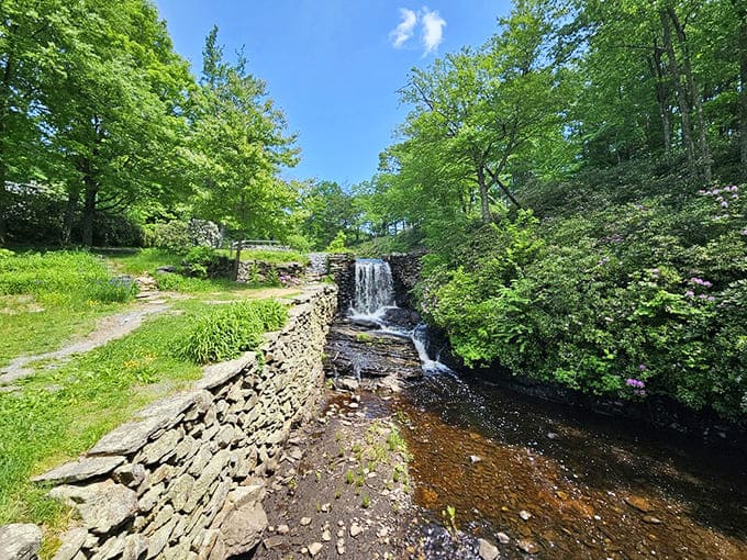 Rushing water and stone create nature's white noise machine, infinitely more soothing than any smartphone app could manage.