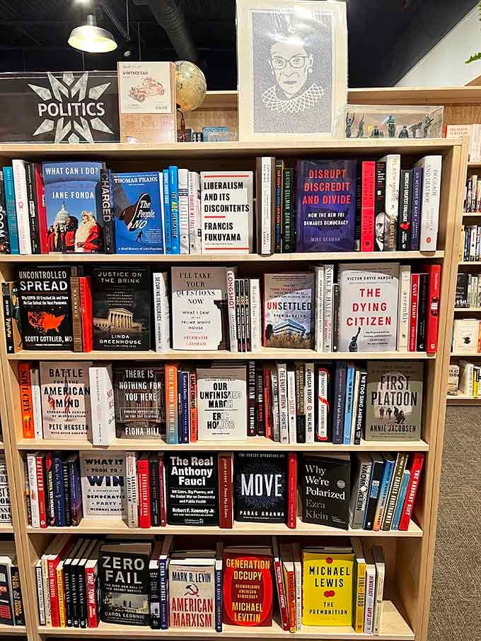 The politics section offers every perspective imaginable, proving democracy works best when everyone's actually reading something.