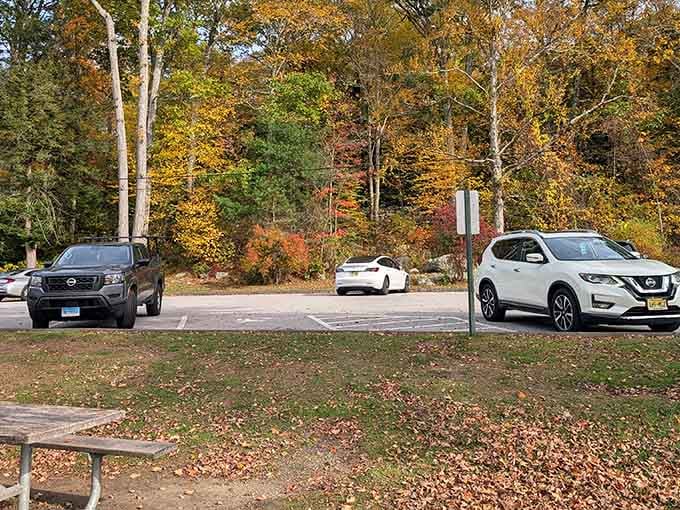 Plenty of parking means you won't be circling like a vulture looking for a spot on busy days.