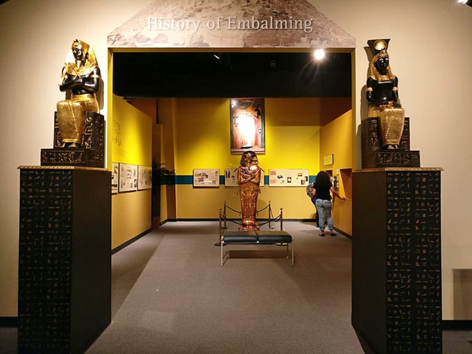 Ancient Egyptian statuary frames the entrance to an exhibit exploring embalming practices from pharaohs to modern times.
