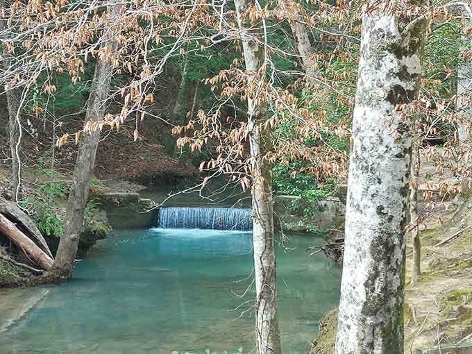 A small waterfall creates its own little paradise, the kind of scene that makes you forget your phone exists.