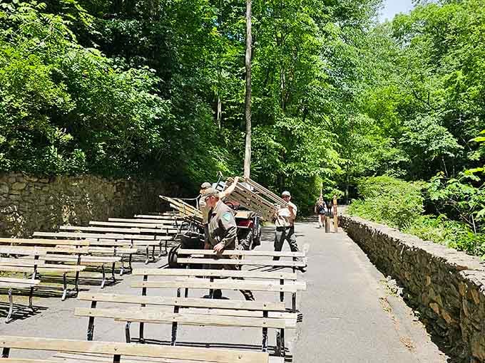 Wooden benches invite you to sit, breathe, and contemplate the sheer patience of geological time passing by.