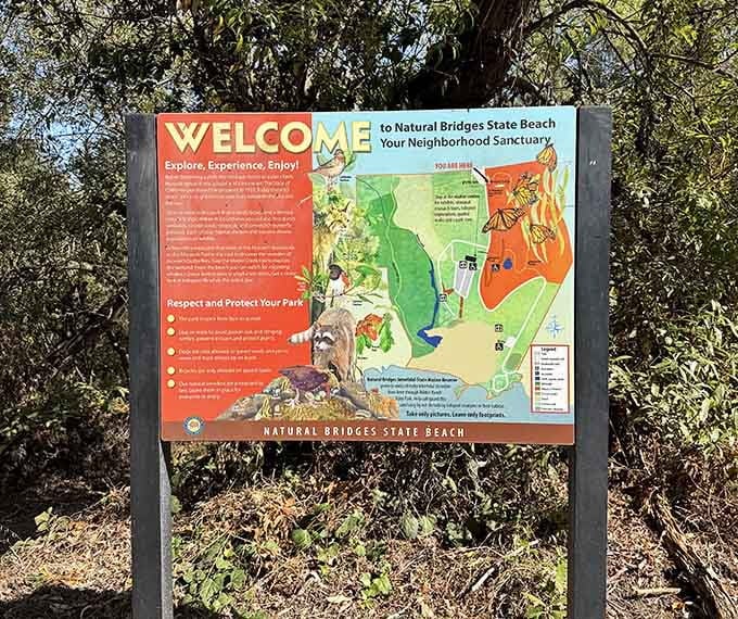 This welcome sign promises exploration and delivers on every single word, butterflies and all included.