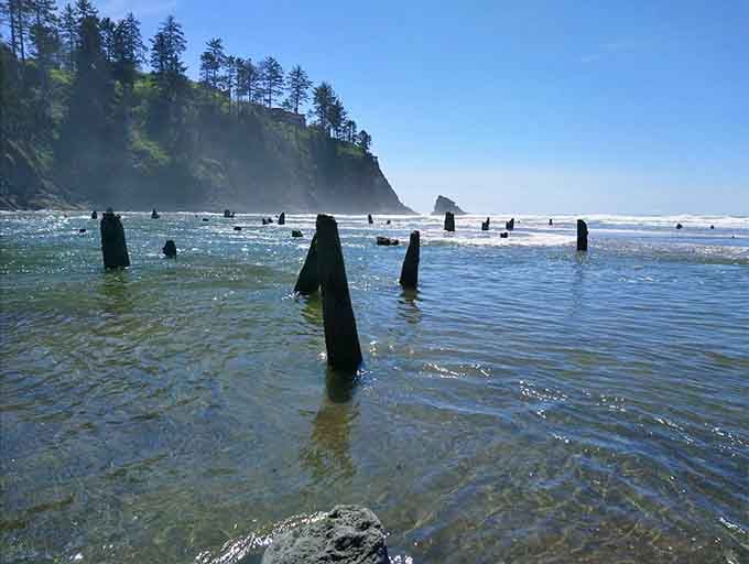 Clear water and ancient stumps combine to create Oregon's most hauntingly beautiful coastal treasure.