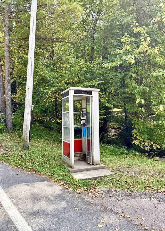 An actual working payphone in the wild, like spotting a dinosaur but more useful for emergencies and nostalgia.