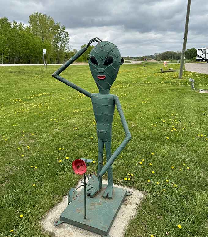 An alien bearing a rose proves that even extraterrestrials appreciate the finer things when visiting rural Minnesota.