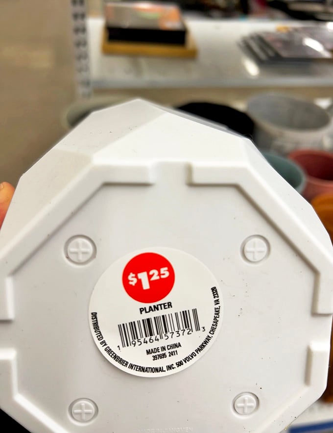 Even planters get second chances at Savers, ready to house your ambitious houseplant collection for less than your morning latte.