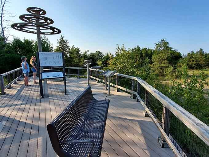 This elevated boardwalk provides panoramic views that'll have you reaching for your camera before you reach the bench.
