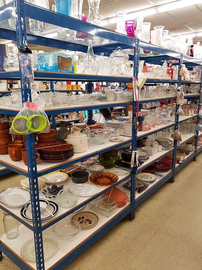 Glassware and dishes stacked like a carefully curated museum exhibit, minus the "don't touch" signs everywhere.