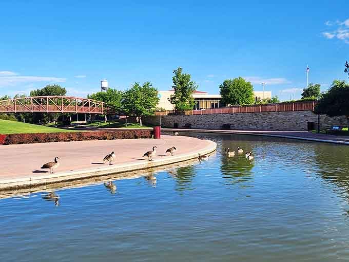 Local geese treat the Riverwalk like their personal country club, and honestly, who can blame them?