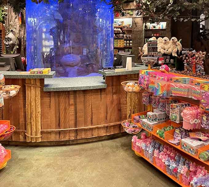 The gift shop aquarium where real fish swim, reminding you that some things don't need to be animatronic.