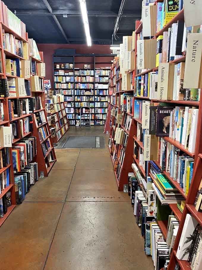 The beauty aisle runs deep here, where books on every subject create corridors of knowledge at bargain-basement prices.