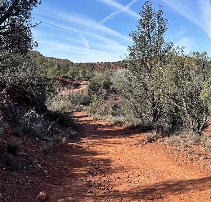Winding trails through the high desert offer the kind of peaceful solitude that's increasingly rare in our overscheduled modern lives.