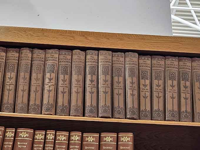 Vintage encyclopedia sets line the shelves, offering knowledge from an era when Google was just a funny word.