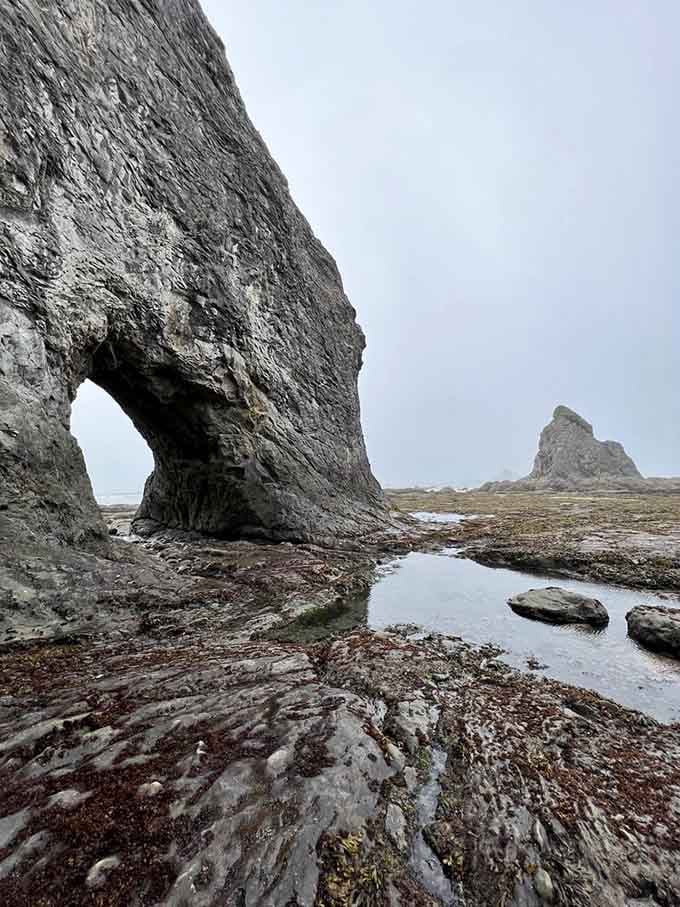 The natural arch frames the ocean perfectly, like nature installed its own picture window for your viewing pleasure.