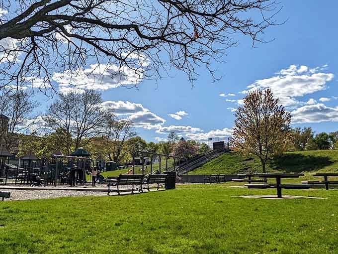 Blue skies, green grass, and playground equipment that actually works; it's like winning the park lottery.