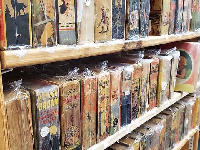 Wrapped vintage books preserve their aging spines, protecting literary history for future generations of readers.