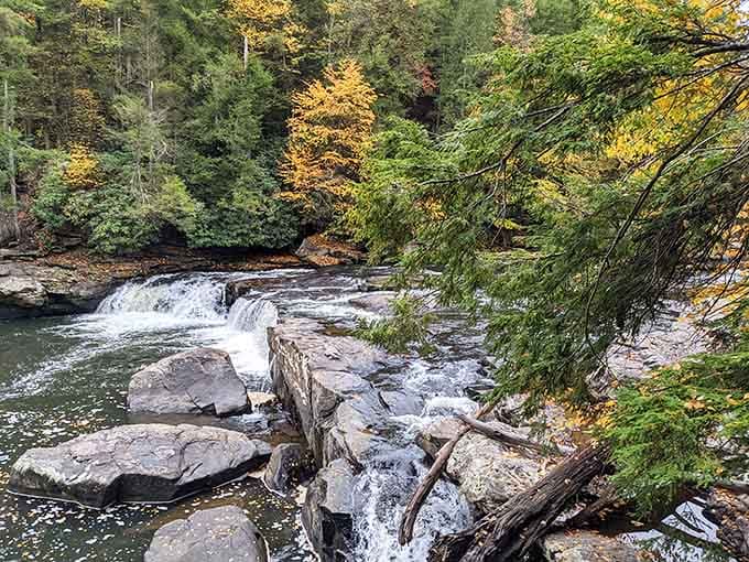 The Youghiogheny River creates these rocky cascades that photograph beautifully from absolutely every possible angle.