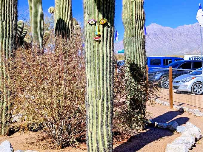 Giant saguaros standing guard like nature's bouncers, welcoming you to one of Arizona's most delightfully weird destinations.