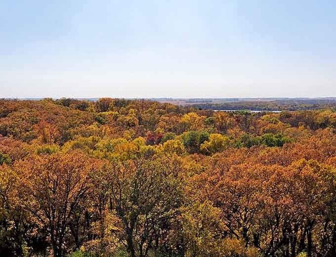 Autumn paints the canopy in colors that would make Bob Ross reach for extra brushes and happy little trees.