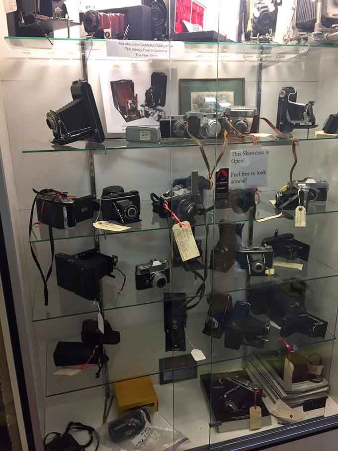 Film cameras line the shelves like artifacts from a more patient era, when photography required actual skill and anticipation.