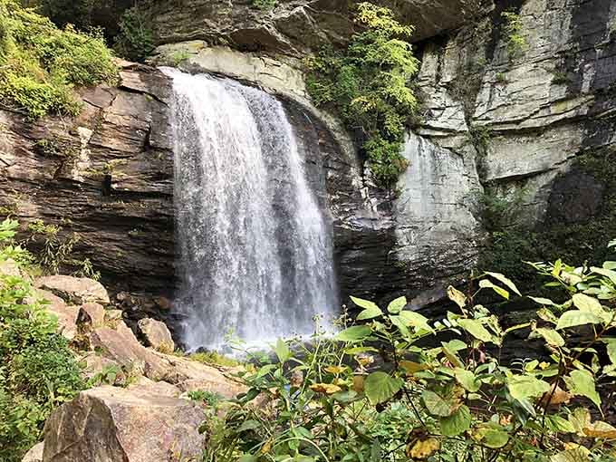 Looking Glass Falls nearby proves that Pisgah National Forest doesn't believe in doing anything halfway with water.