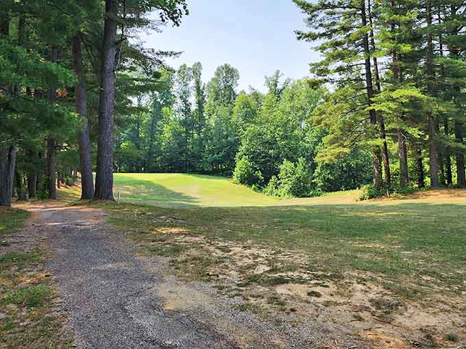 Pine Woods Golf Course offers rolling greens surrounded by forest, where your worst shot still comes with great views.