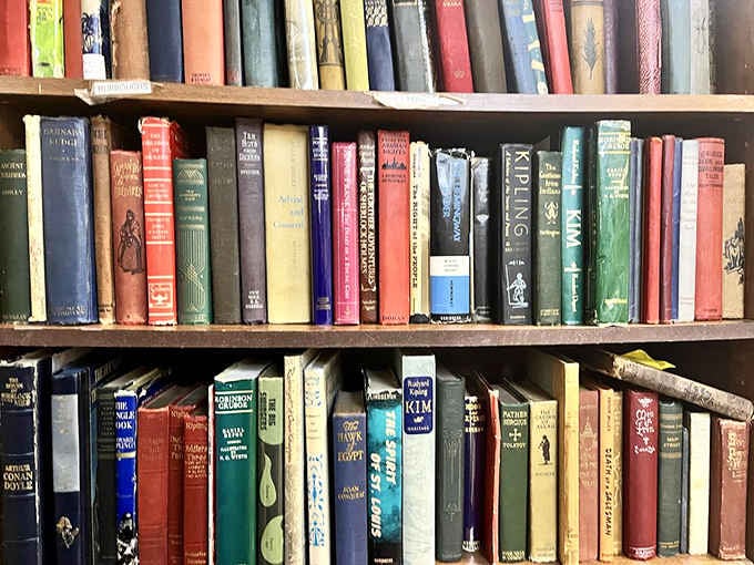 Books with actual pages and spines, arranged like they're auditioning for roles in your personal library's next chapter.