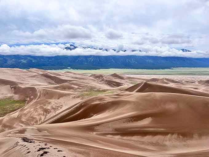 The interplay of light and shadow transforms the dunes into a photographer's paradise with endless compositions available.