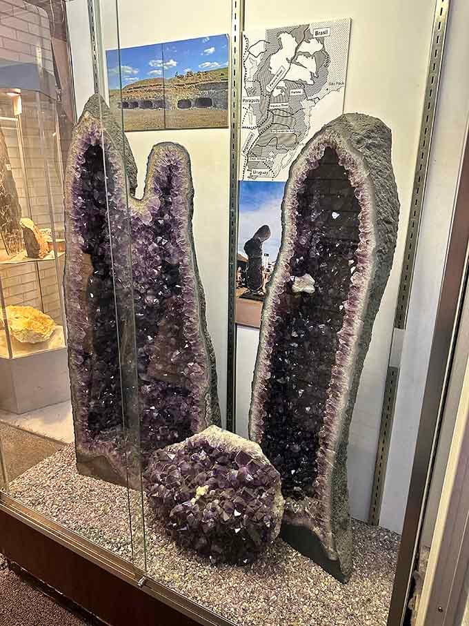 Amethyst geodes standing taller than most people, like purple crystal cathedrals that took millions of years to grow.