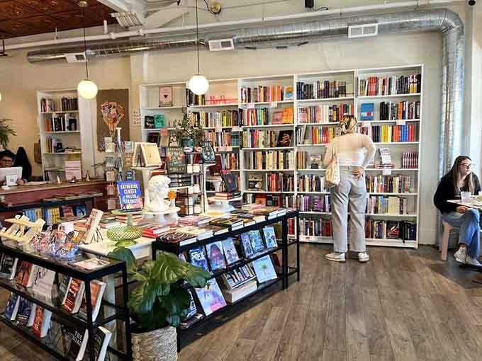 Carefully curated book displays showcase titles you won't find at big box stores, making every visit a literary treasure hunt.