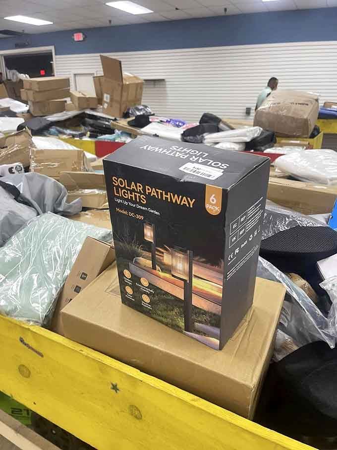 Solar pathway lights that'll make your garden glow like you hired a professional landscaper with taste.