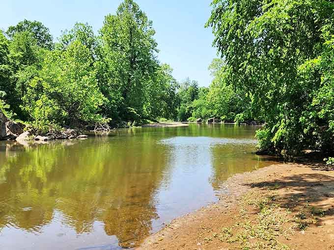 The St. Francis River's gentle current and tree-lined banks create perfect swimming holes where summer memories are made without admission fees.