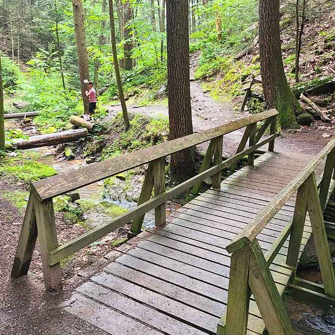 Wooden bridges cross the creek at perfect intervals, making the hike accessible while keeping nature's wild character intact.