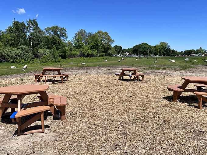 Picnic tables positioned perfectly for parents to rest their weary bones while supervising the organized chaos nearby.