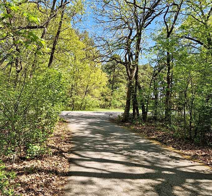 Paved paths wind through the forest, offering easy access to beauty without requiring hiking boot commitment.
