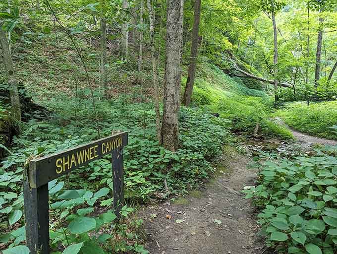 Shawnee Canyon's lush greenery makes you wonder why you've been hiking anywhere else all these years.