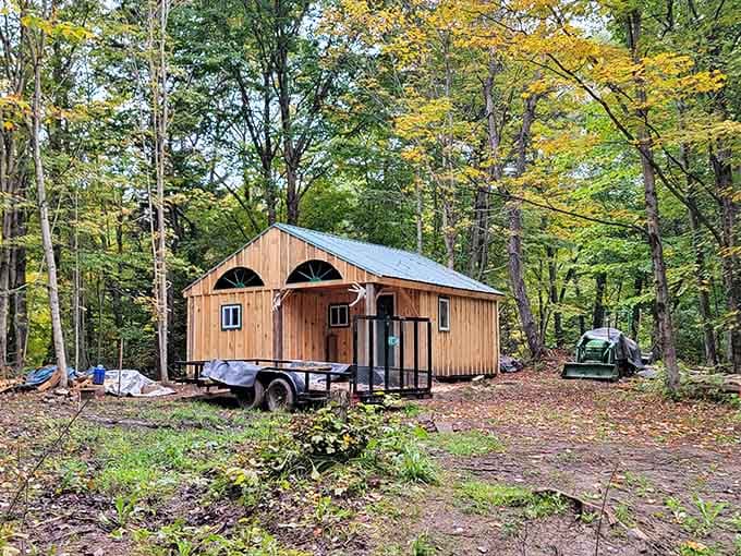This charming cabin proves you can camp without actually sleeping on the ground like our ancestors did.