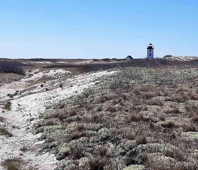 Winter transforms the landscape into something even more dramatic, though the walk gets considerably more challenging.