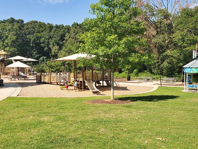 Lush green grass surrounds the play areas, giving parents a soft landing spot for picnic blankets.