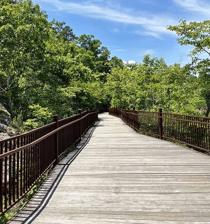 The boardwalk guides visitors through a verdant cathedral of Missouri greenery, accessibility that doesn't compromise on natural splendor.