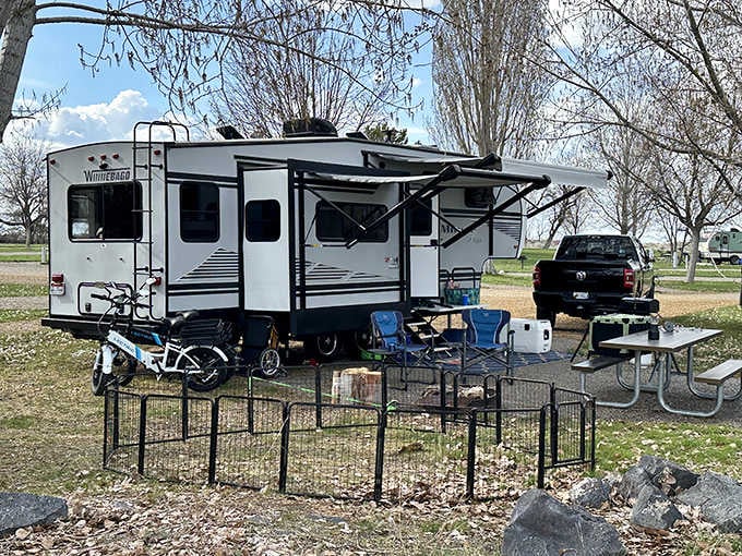 Camping with all the comforts of home, plus a million-star ceiling that no luxury hotel can match.