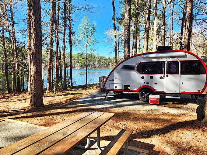 Lakeside camping with the kind of waterfront property that would cost millions in real estate but only park admission here.