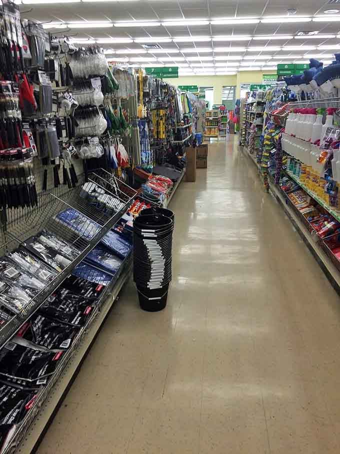 An aisle that stretches toward retail infinity, offering everything from kitchen gadgets to garden tools in one convenient journey.