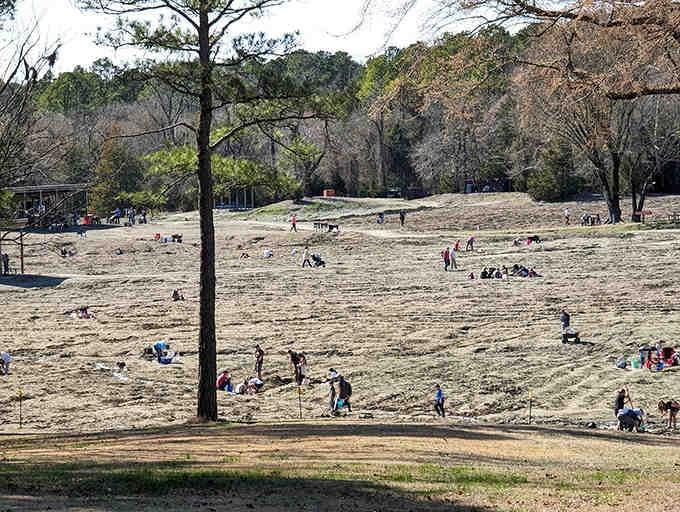 Scattered across the field like modern-day prospectors, visitors methodically search for that life-changing sparkle. Patience is the real gem here.