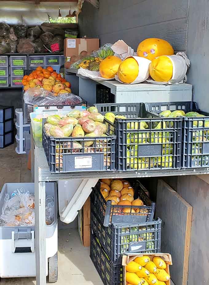 Nature's bounty stacked high in this produce stand. Those giant melons didn't travel across continents to reach your table—just across the county.