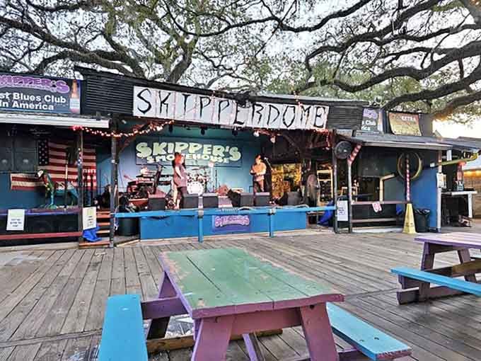 The Skipperdome stage&mdash;where musical magic happens under oak trees. Many have come for the food but stayed for the unforgettable soundtrack.