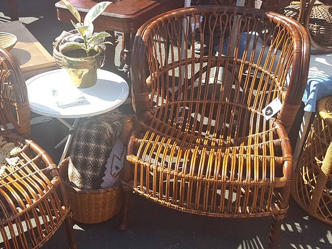 Rattan chairs bask in the sunshine, their curved silhouettes offering both nostalgic charm and the timeless appeal of natural materials.