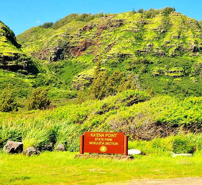 The safety briefing you'll actually want to read. Unlike airplane safety cards, these warnings come with million-dollar views.