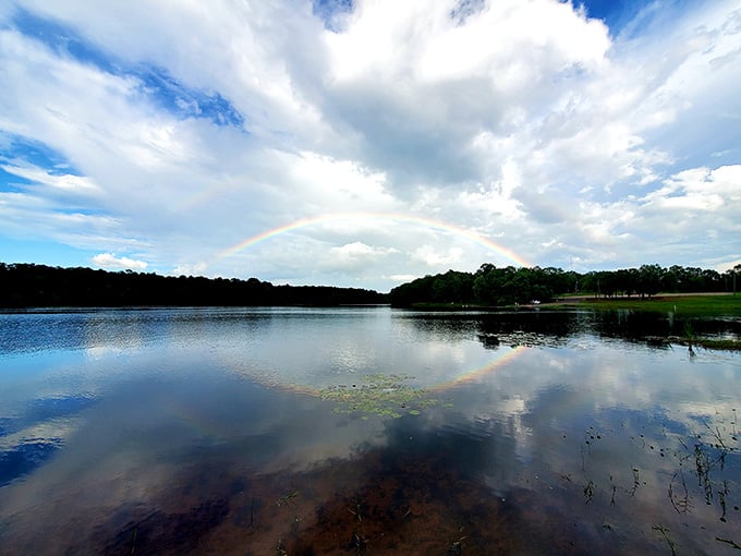Nature's own light show—a rainbow arching over the lake like it's auditioning for a role in your vacation memories.